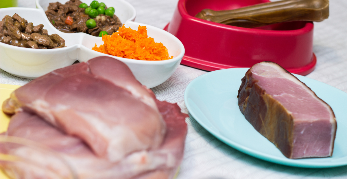 ¿Le cocinas a tu perro? Esto es lo que debes saber - Bukistas